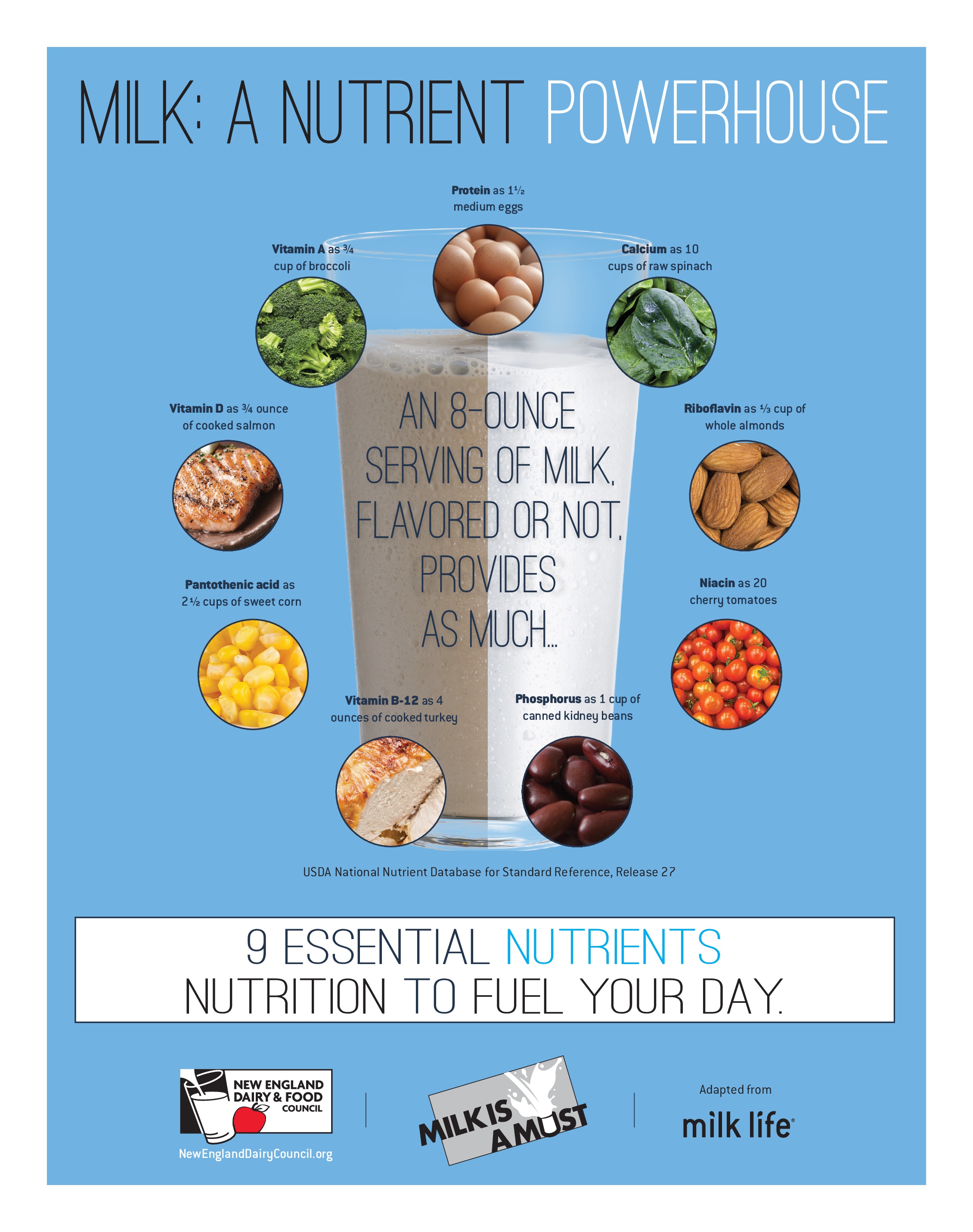 Milk Nutrient Powerhouse 1 - Family Breakfast Recipes